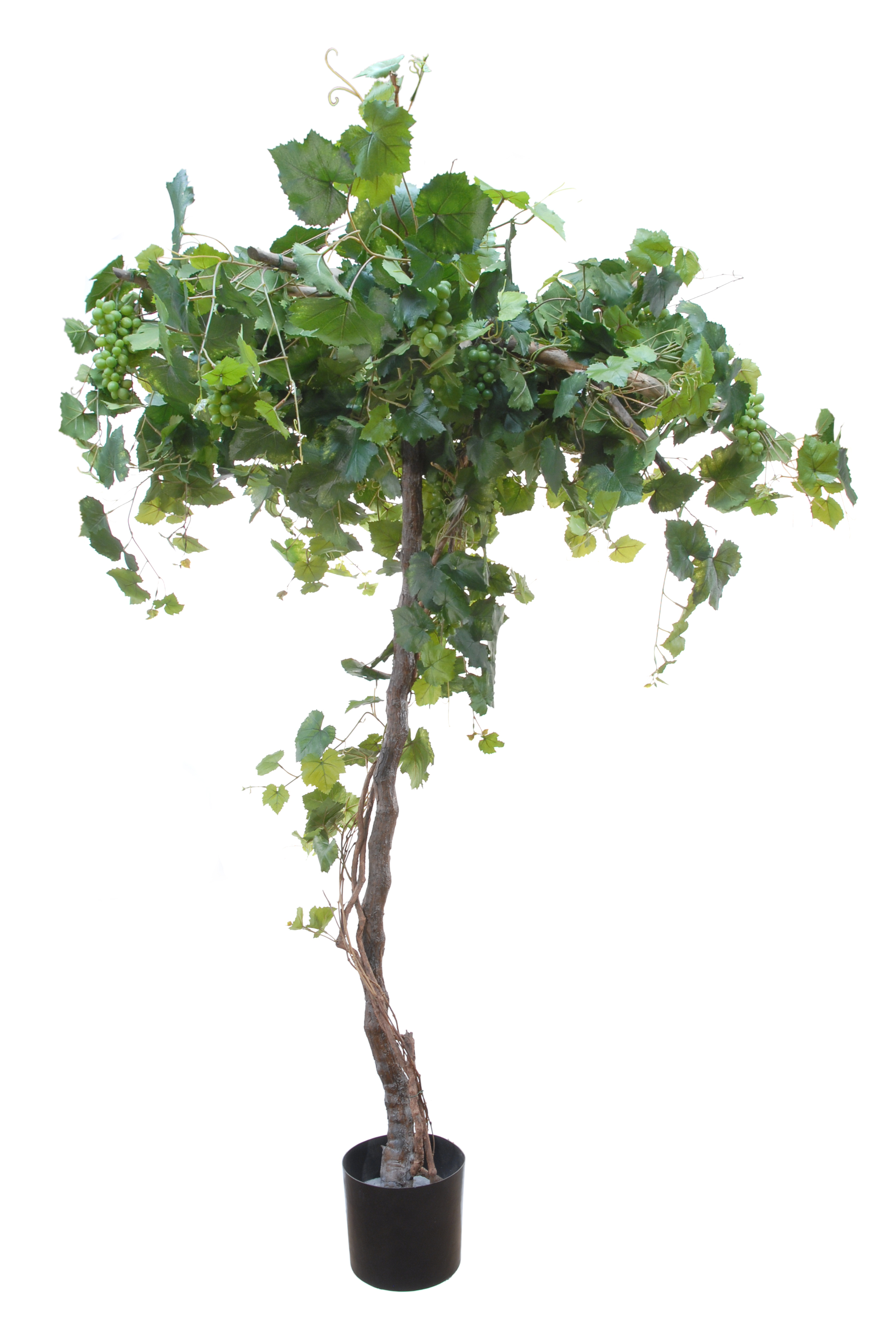 Druivelaar + druiven h210cm p groen | Fcsl.es